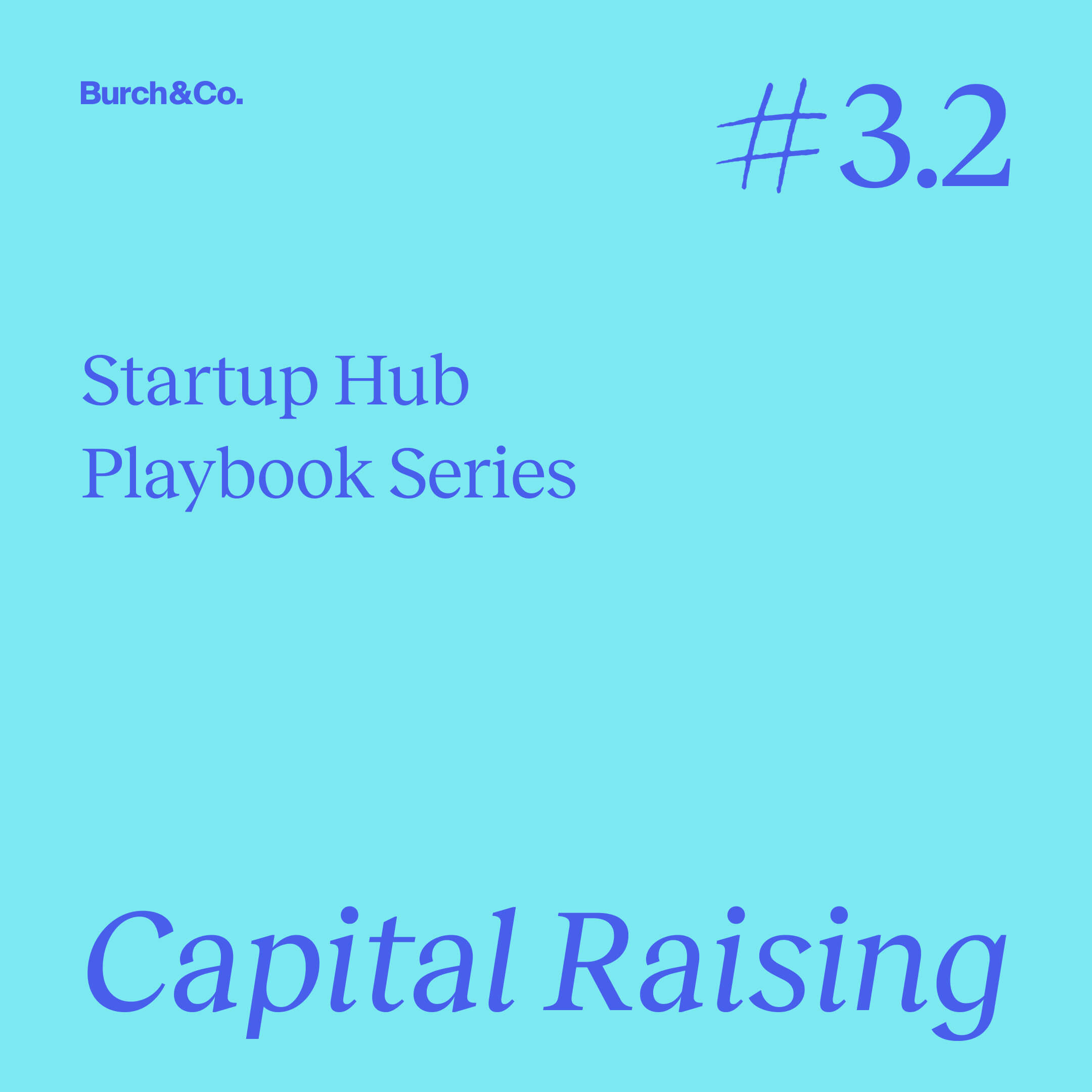 Startup Playbook 3.2: Capital Raising - Burch&Co